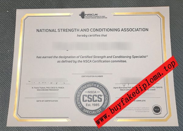Buy A Cscs Nsca Certificate Order A Cscs Certificate Buy Diploma Online Buy Degree And